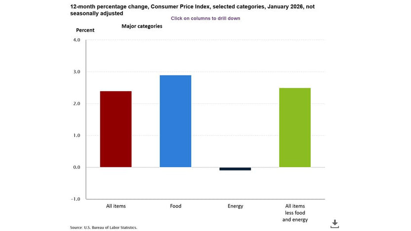 US CPI Data January 2026: Inflation Update and Outlook